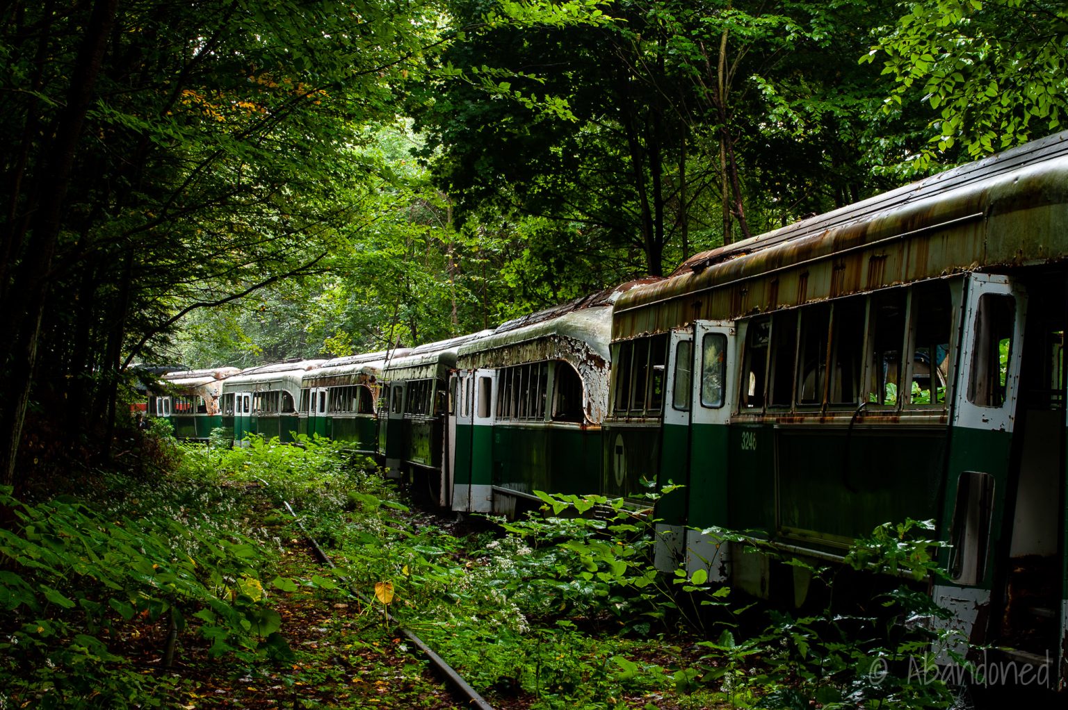 Abandoned - Page 9 of 20 - The story of a forgotten America.